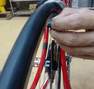 WheelCheckerLauncher